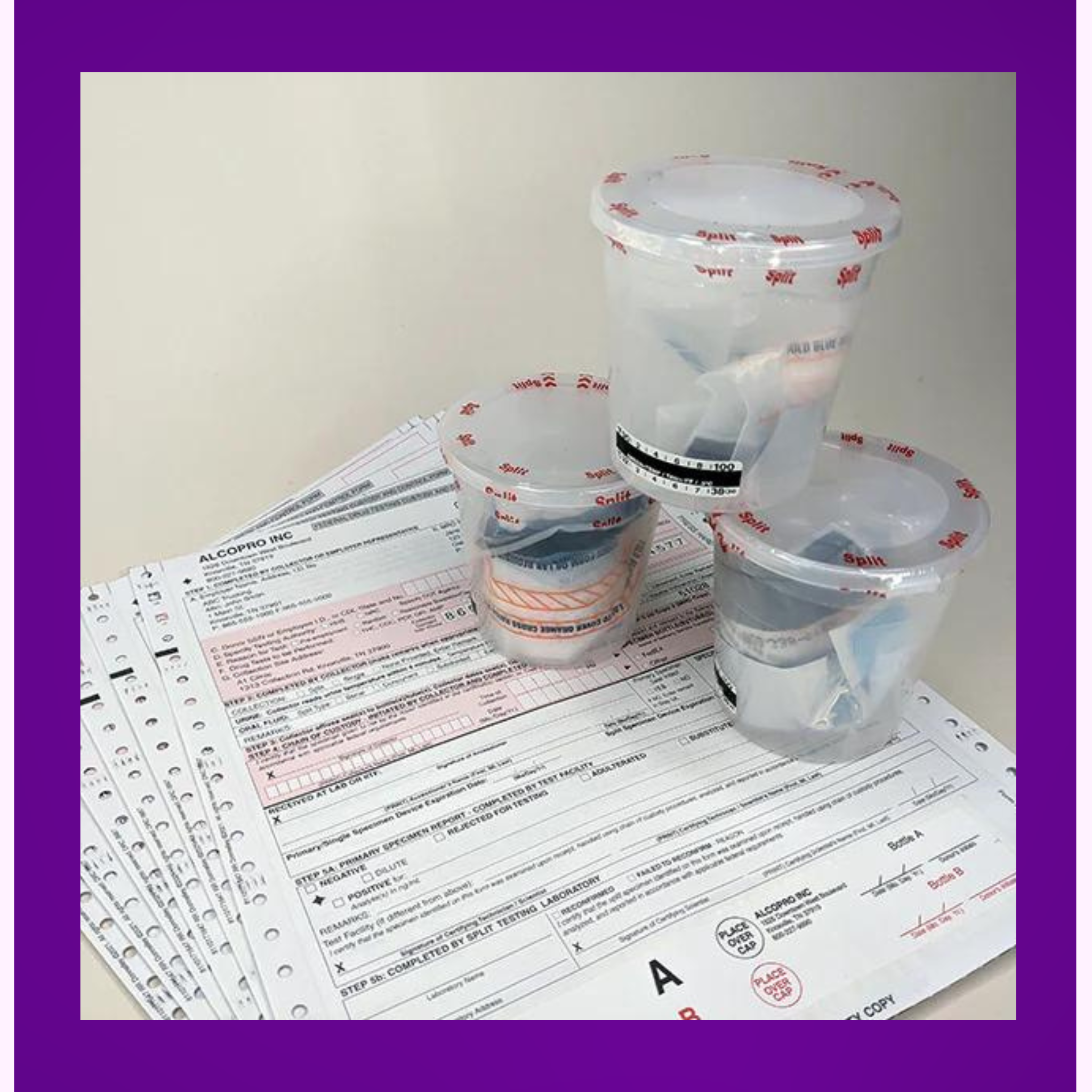 MOCK Exam & Supplies ( DOT & NON DOT) – BIZ VAULTS